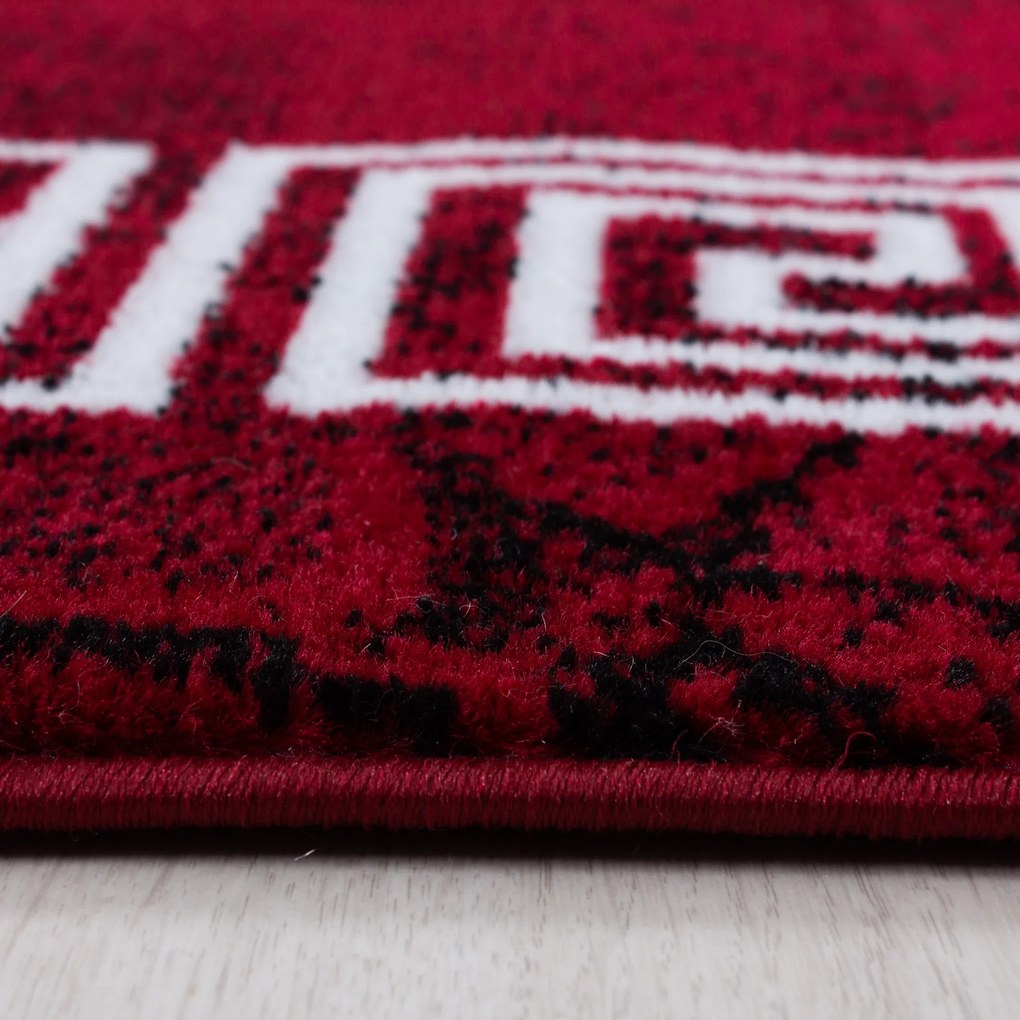 Ayyildiz, Kusový koberec Plus 8009 red, 120x170, červená, obývací pokoj