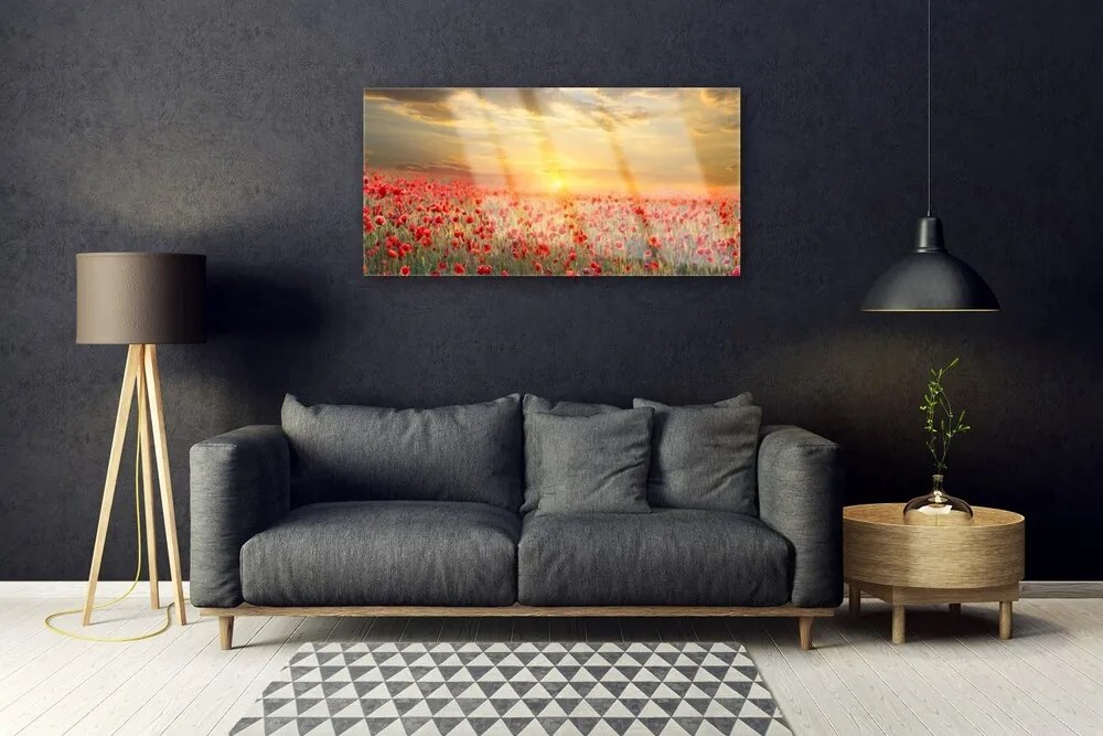 Obraz na skle Slunce Louka Mák Květiny 140x70 cm