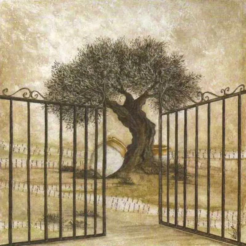 ART-STYLE Obrázek 30x30, brána & olivovník, rám sv. dub - červotoč