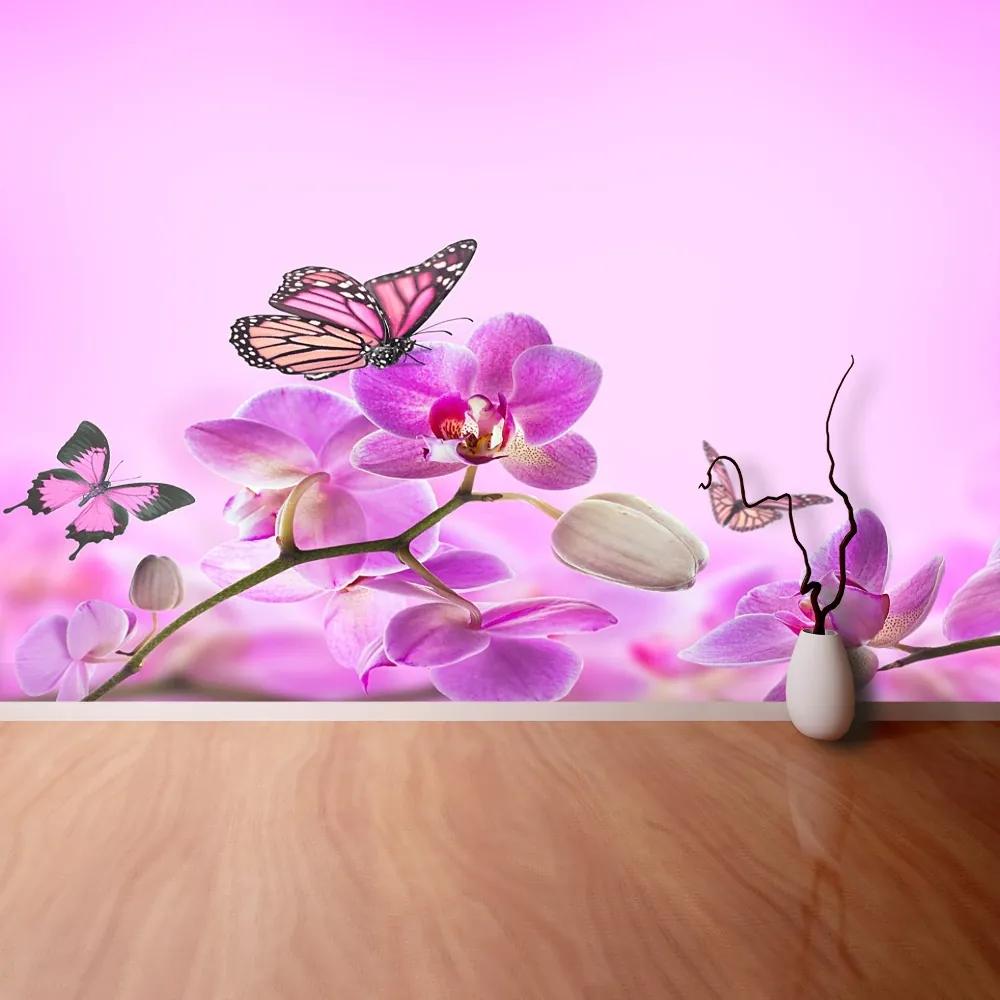 Fototapeta Orchid Motýl