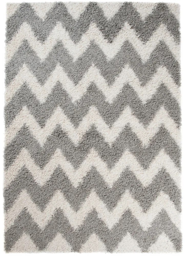 Kusový koberec Shaggy Frida světle šedý, Velikosti 80x150cm