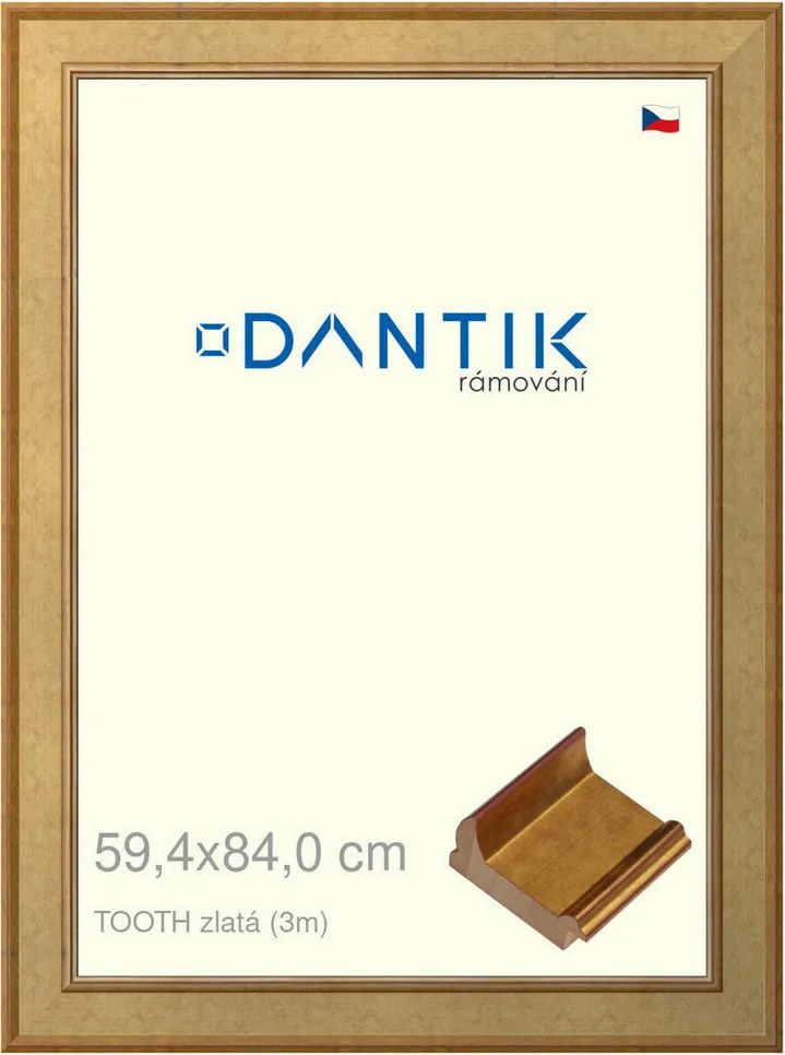 DANTIK rámeček 59,4x84 | TOOTH zlatá (Plexi Čiré)