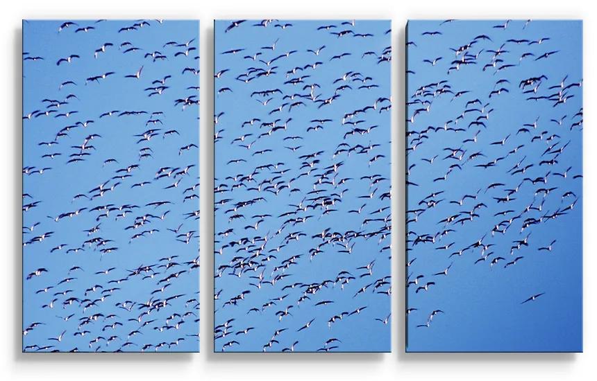 Sablio Obraz - 3-dílný Hejno ptáků - 120x80 cm