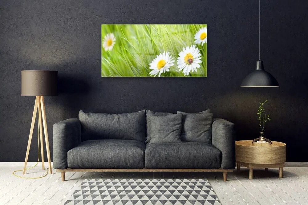 Obraz na skle Tráva Sedmikrásky Příroda 140x70 cm