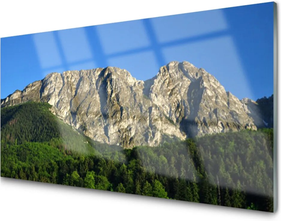 Obraz na skle Skleněný Hora Les Příroda
