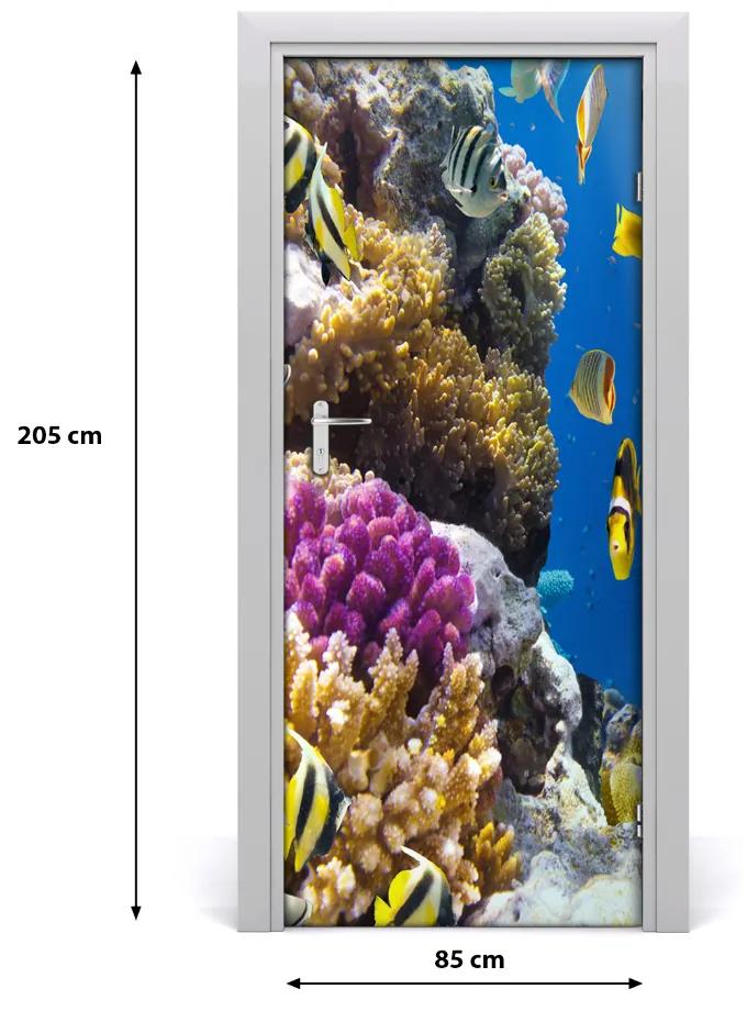 Samolepící fototapeta na dveře Korálový útes 85x205 cm