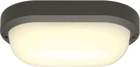 BIG WHITE 229945 Nástěnné a stropní svítidlo TERANG 2 XL, oválné, antracit, 3000K, IP44