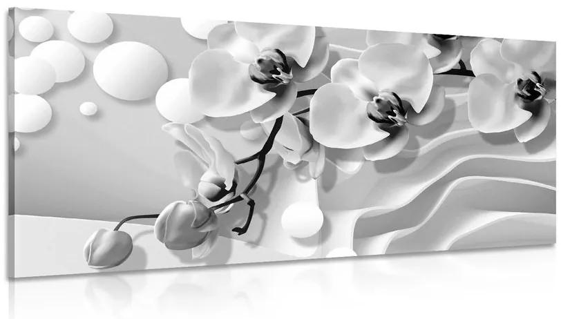 Obraz černobílá orchidej na abstraktním pozadí Varianta: 100x50