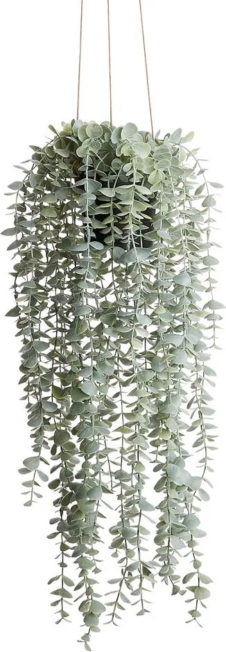 FLORISTA Eukalyptus převislý malý list 65 cm