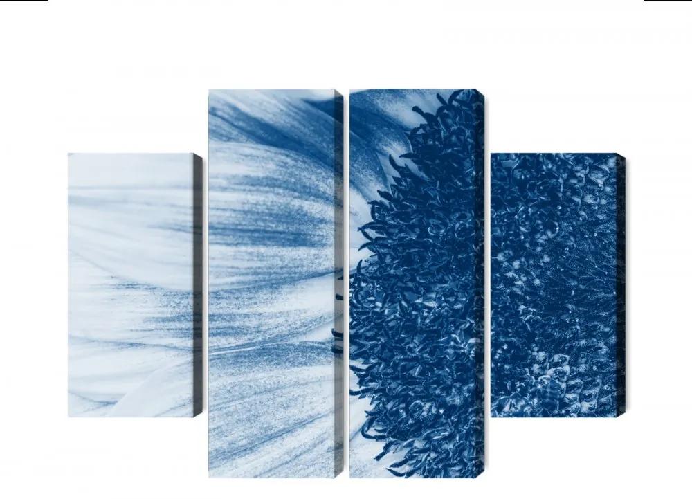 Vícedílný obraz Modrá Slunečnice V Makro Měřítku Nedostatek Nedostatek Plátno Canvas 120x90