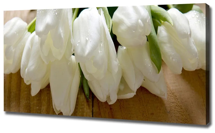 Wallmuralia Foto obraz na plátně Bílé tulipány 120x60 cm