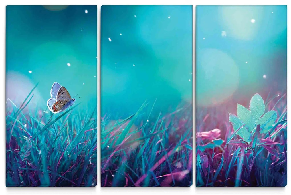Malvis ® Obraz motýlí krása Velikost: 90x70 cm