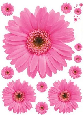 ZOOYOO Samolepka na zeď květiny - sedmikrásky růžové 45 x 60 cm