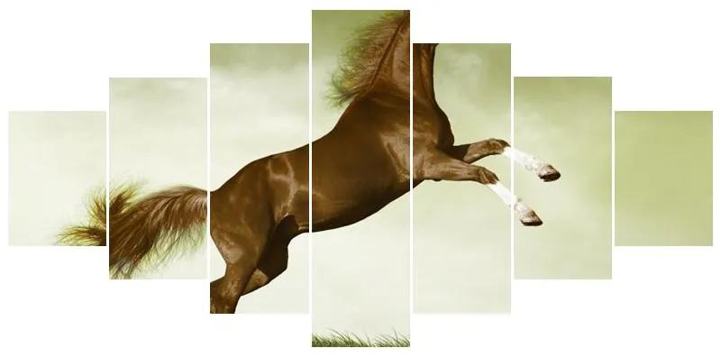 Obraz hnědého koně na zadních  (210x100 cm), 40 dalších rozměrů