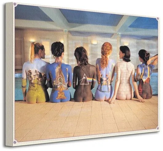 Obraz na plátně Pink Floyd (Back Catalogue) 40x30cm WDC92056