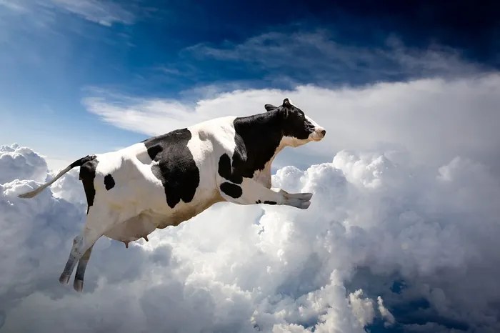 Plakát Letící kráva