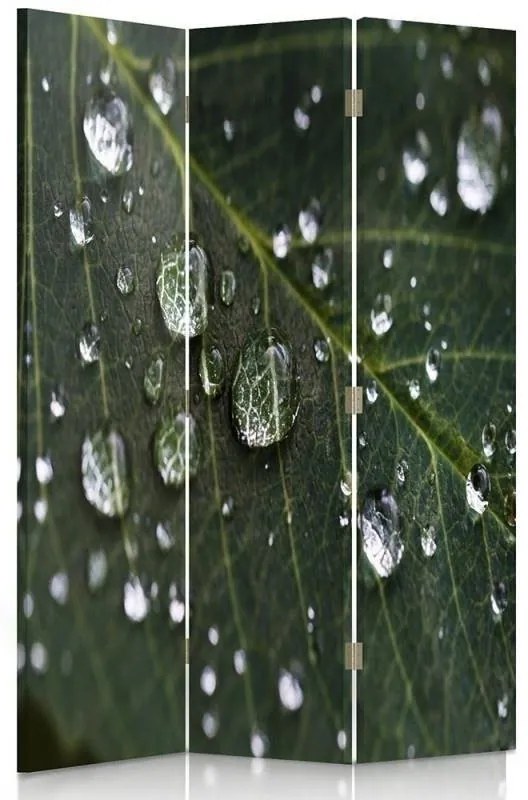 Ozdobný paraván Zelené listy kapky vody - 110x170 cm, třídílný, klasický paraván