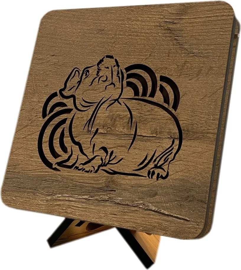 Li-Go "Skinny morče" lampa 19x19 cm provedení povrchu: dub