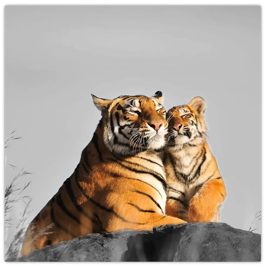 Obraz - Tygřice a její mládě, černobílá varianta (30x30 cm)