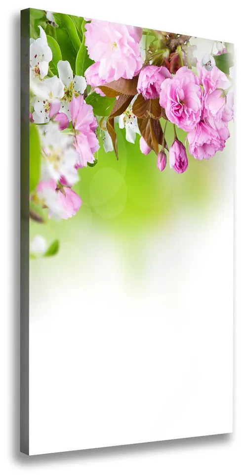 Wallmuralia Foto obraz na plátně Jarní květiny 50x100 cm