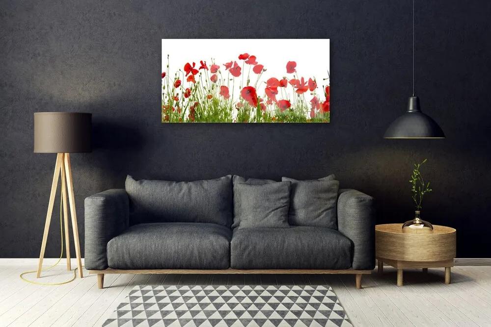 Obraz na skle Máky Květiny Příroda 100x50 cm