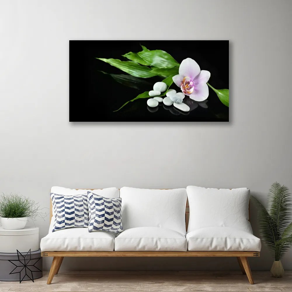 Obraz na plátně Květ Kameny Listí 120x60 cm