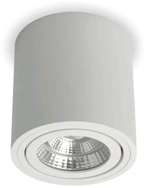 Stropní svítidlo ROLL - 1160231 - LED2