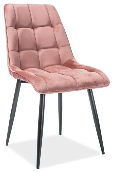 SIGNAL Jídelní židle - CHIC Velvet, různé barvy na výběr Čalounění: hnědá (Bluvel 48)