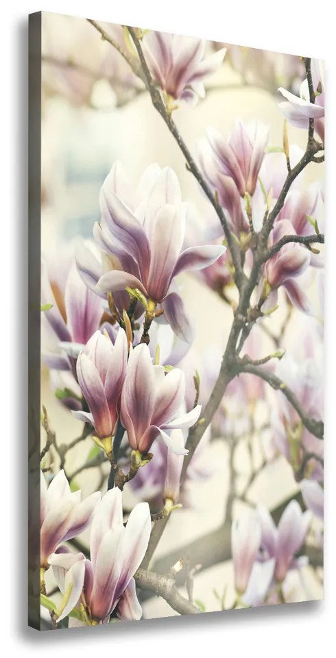 Wallmuralia Vertikální Vertikální Foto obraz na plátně do obýváku Magnolie 50x100