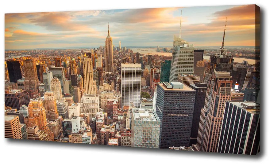 Wallmuralia Foto obraz na plátně New York ptačí pohled 100x50