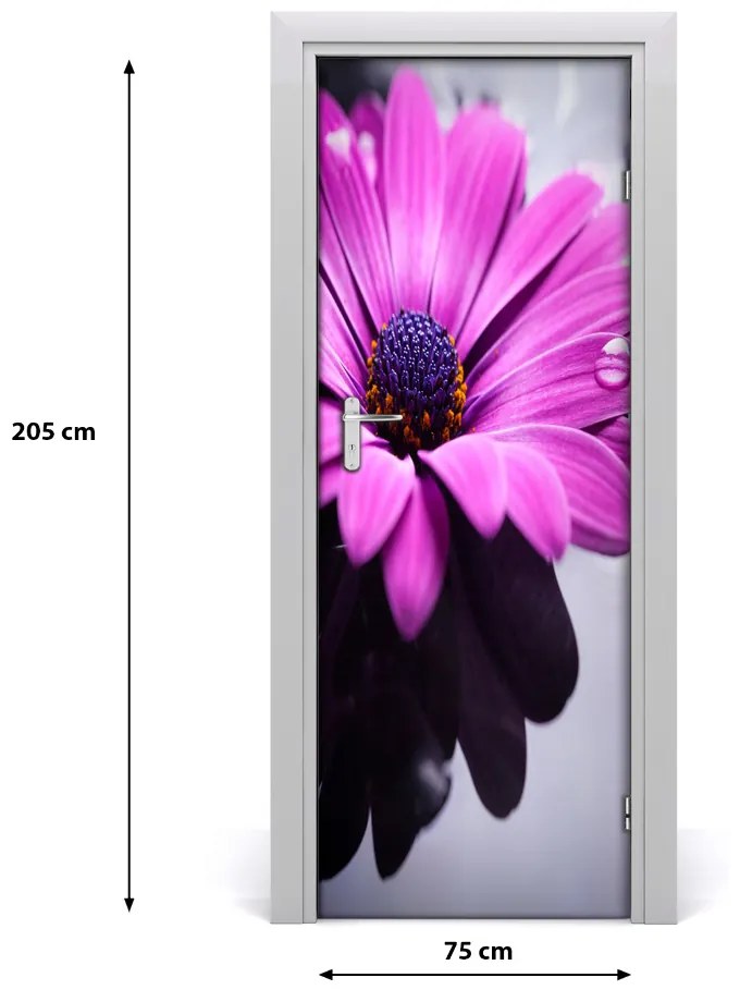 Samolepící fototapeta na dveře Růžová gerbera 75x205 cm