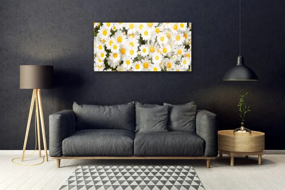 Obraz na skle Sedmikrásky Květiny 120x60 cm