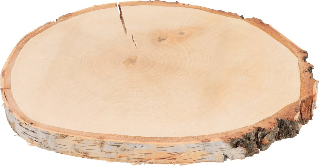 ČistéDřevo Dřevěná podložka z kmene břízy 33-38 cm