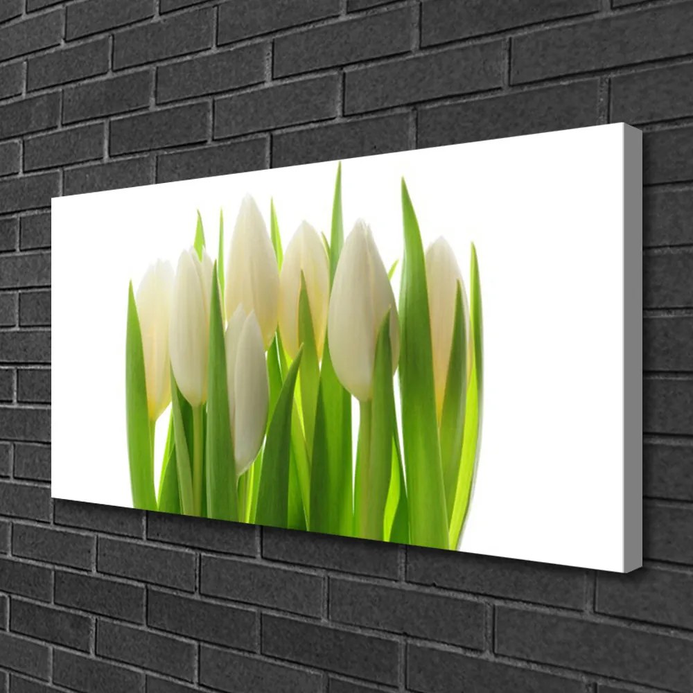 Obraz na plátně Tulipány Rostlina Příroda 100x50 cm