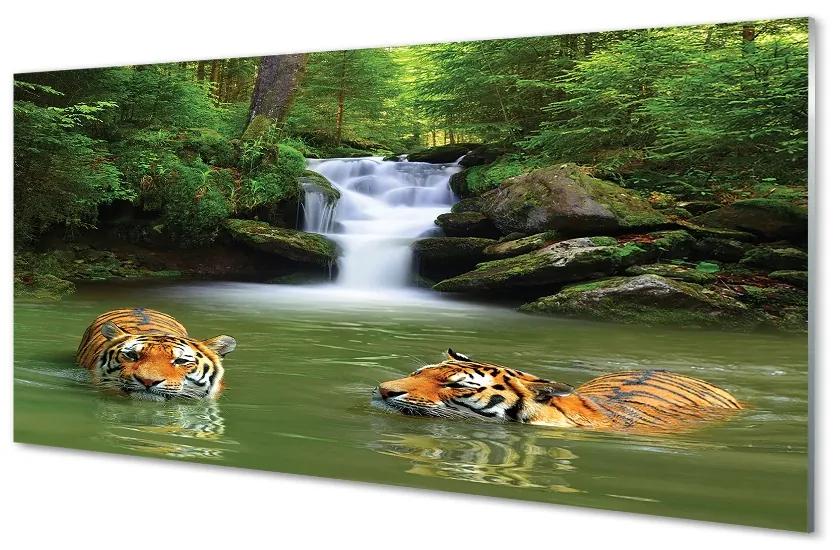 Obraz na skle vodopád tygři 120x60 cm