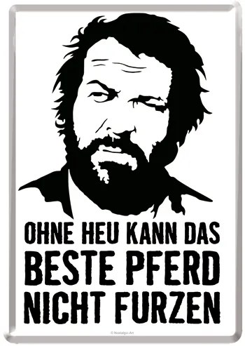 Postershop Plechová pohlednice - Ohne Heu Kann Das Beste Pferd Nicht Furzen