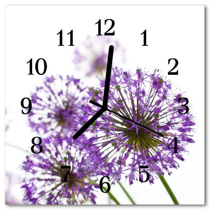 Nástěnné hodiny obrazové na skle - Pampeliška fialová