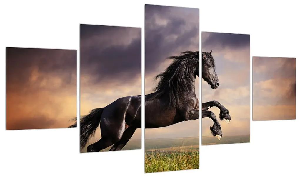Obraz koní (125x70 cm)
