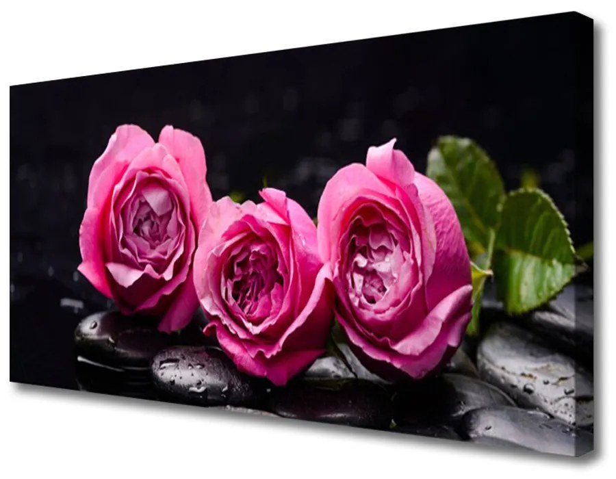 Obraz na plátně Růže Kameny Zen Lázně Příroda 125x50 cm