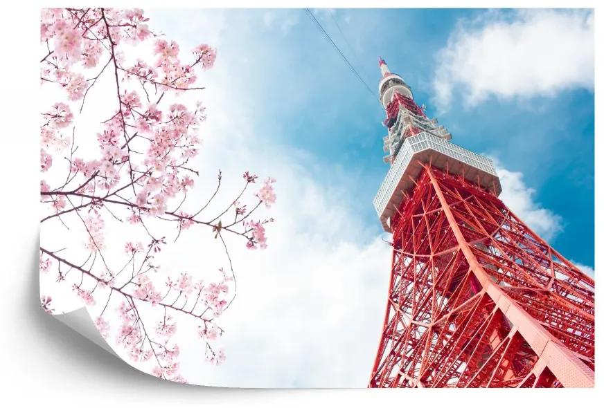 Fototapeta Tokijská Věž Na Obloze Hladký vinyl 90x60