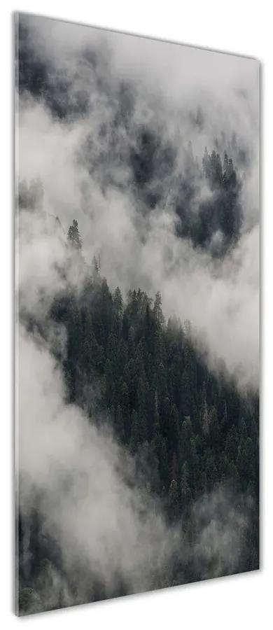 Wallmuralia Foto obraz akrylový na stěnu Mlha nad lesem 50x125 cm