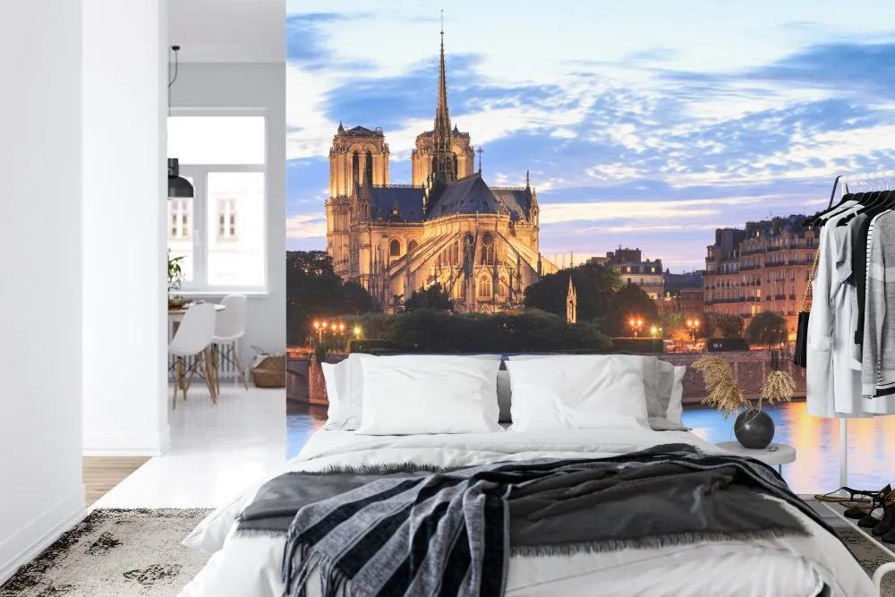 Fototapeta Paříž – Notre-Dame Omyvatelný vlies 368x254