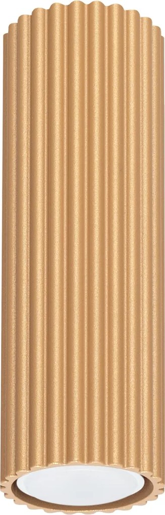 Sollux Lighting Stropní svítidlo KARBON 20 zlaté