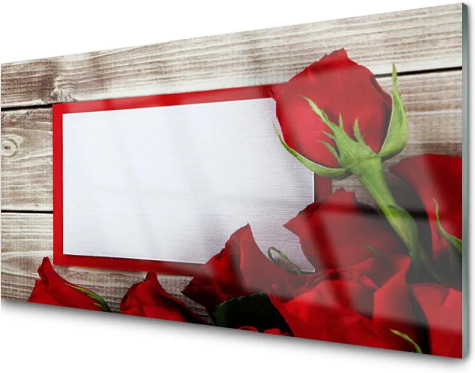 Plexisklo obraz Růže Květiny Rostlina