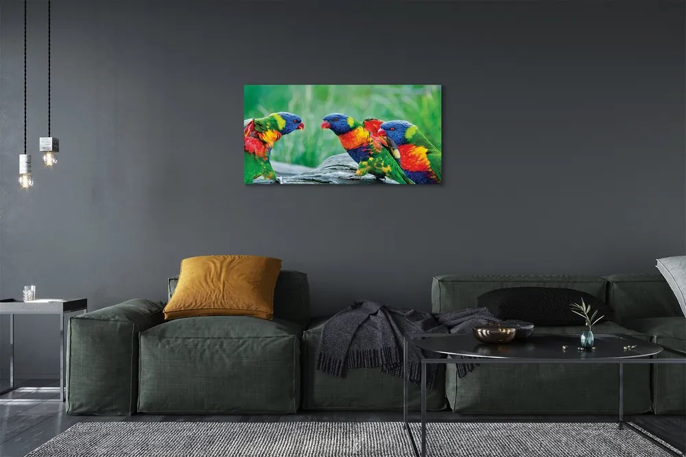 Obrazy na plátně Barevný papoušek stromu 140x70 cm