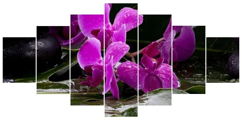 Obraz mokrých fialových orchidejí  (210x100 cm), 40 dalších rozměrů