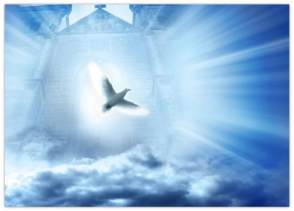 Obraz - Boží holubice (70x50 cm)