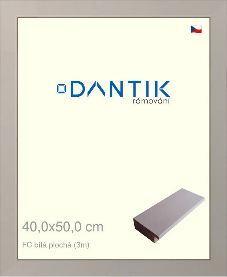 DANTIK rámeček 40x50 | FC Bílá plochá (Plexi Čiré)