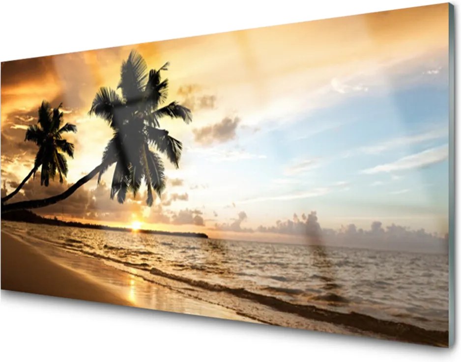 Skleněný obraz Palma Stromy Pláž Krajina