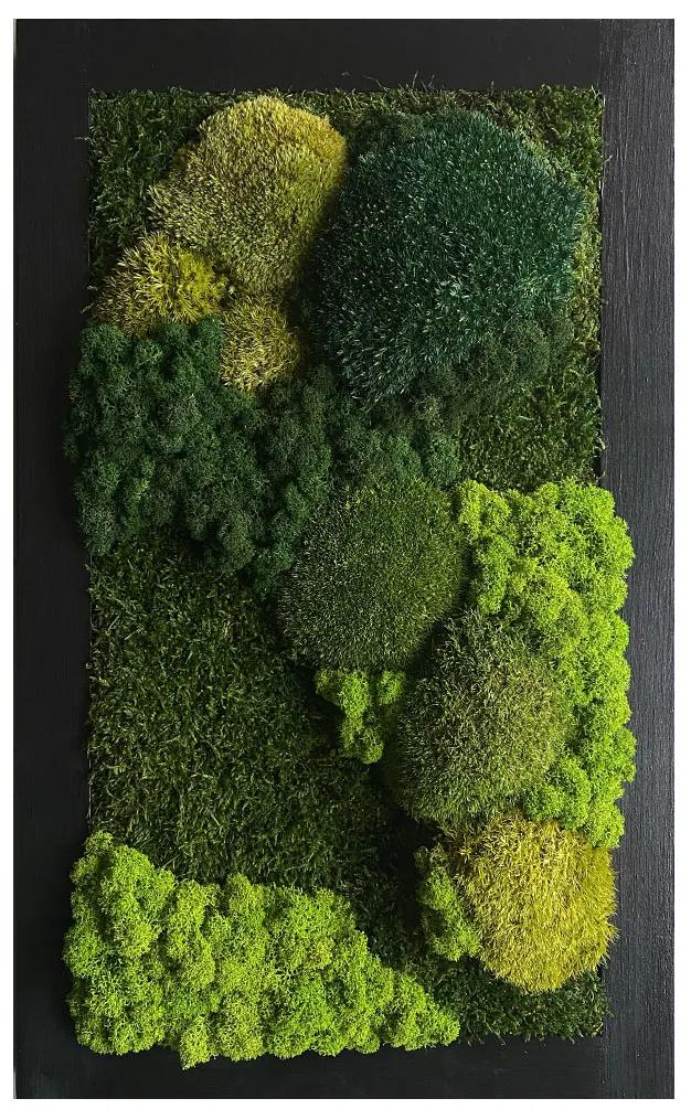 WOODILO Mechový obraz v  rámu z masivu 209 | kombinace mechů Rozměr obrazu: 120x50 cm, Barva rámu: Odstín ořech (namořené borovicové dřevo), Síla rámu (pohledová): 3,7 cm